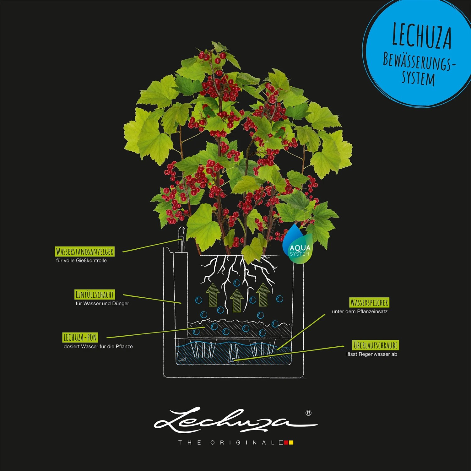 Lechuza Pila Color Planter virágtartó 35 cm x 35 cm x 33 cm petróleumkék