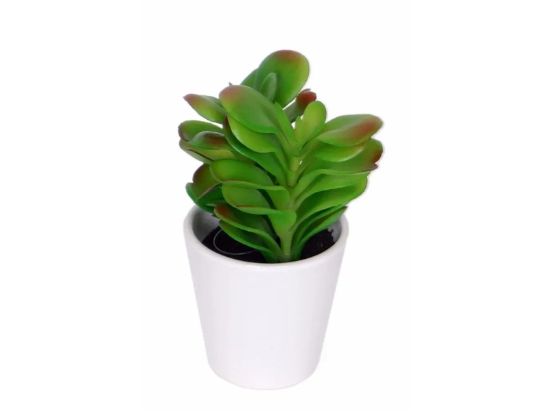 Pozsga mini zöld vásárlása az OBI -nál