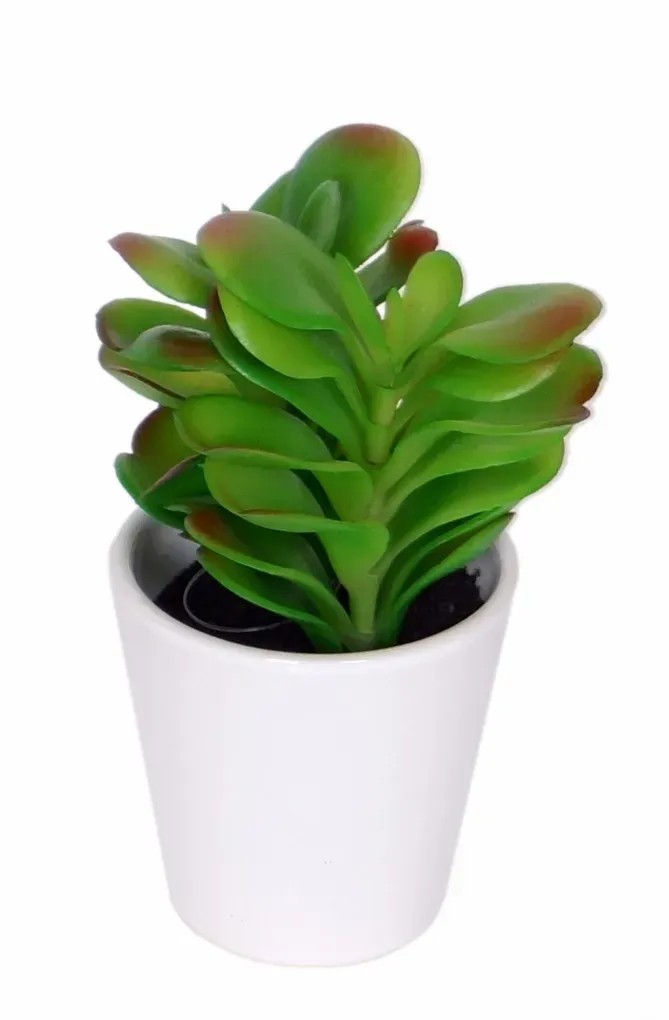 Pozsga mini zöld vásárlása az OBI -nál