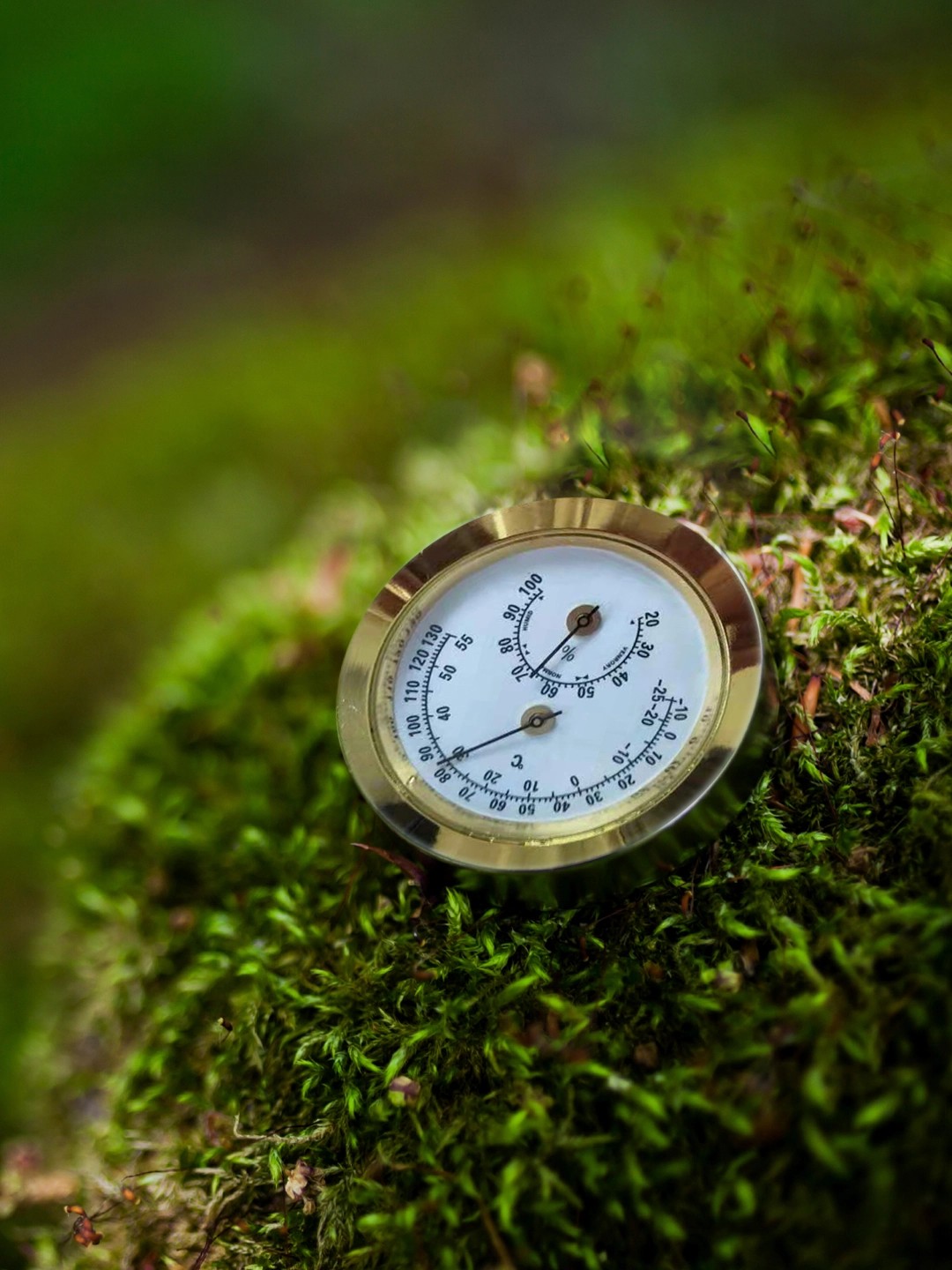 Pergart páratartalom-mérő bliszterrel vásárlása az OBI -nál