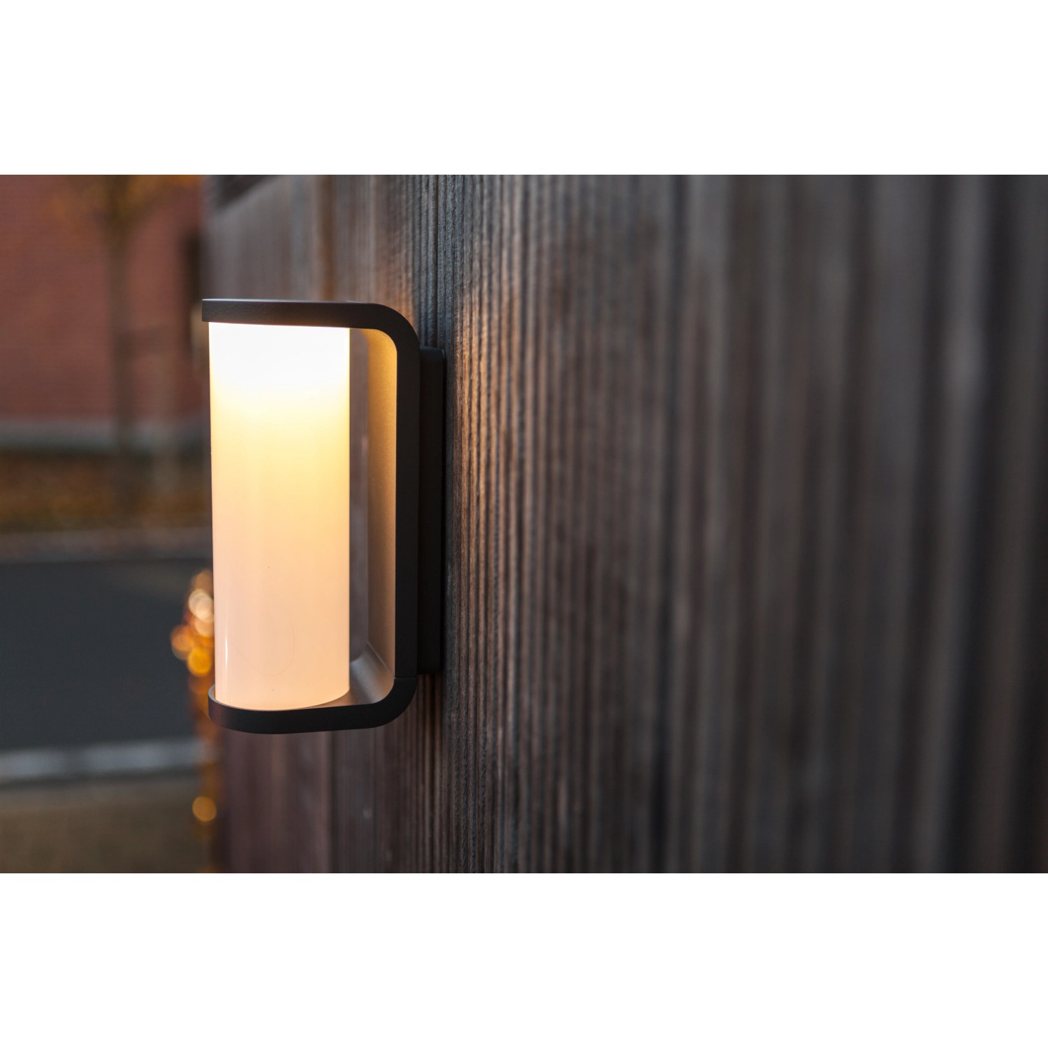 Lutec Adalyn LED-es kültéri fali lámpa