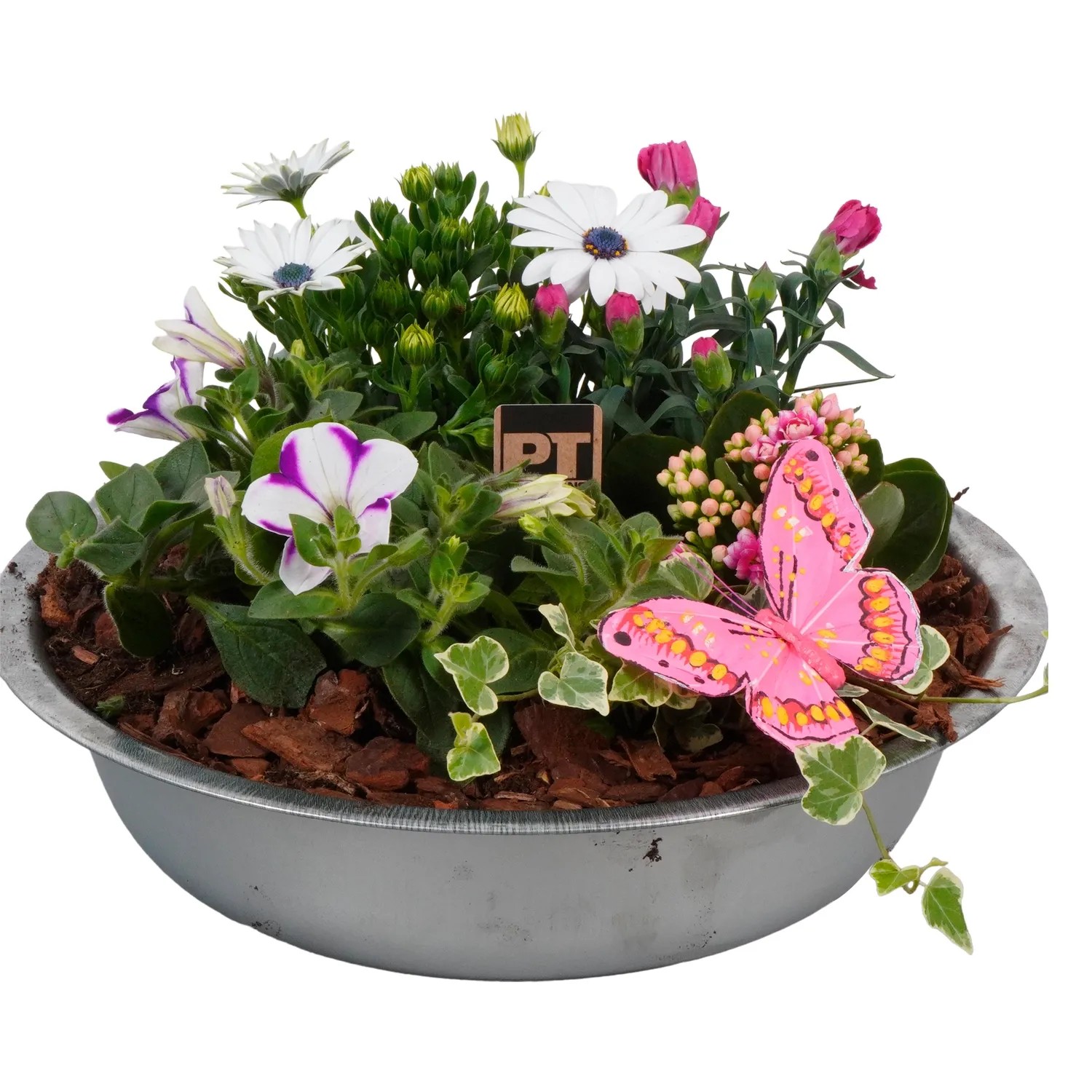 Virágos növényválogatás cink cserépben cserépátmérő kb. 36 cm vásárlása ...