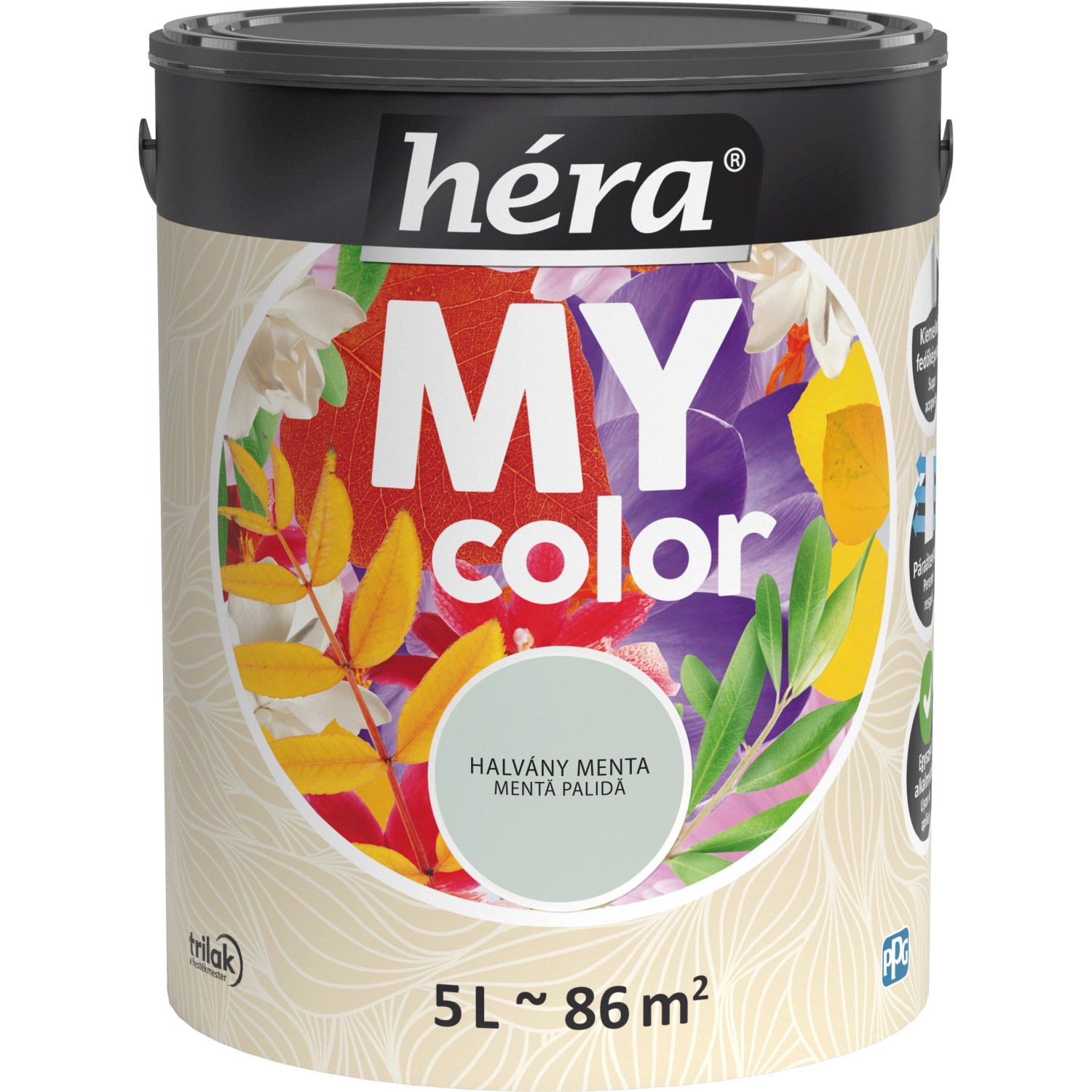 Héra My Color Halvány Menta 5 l vásárlása az OBI -nál