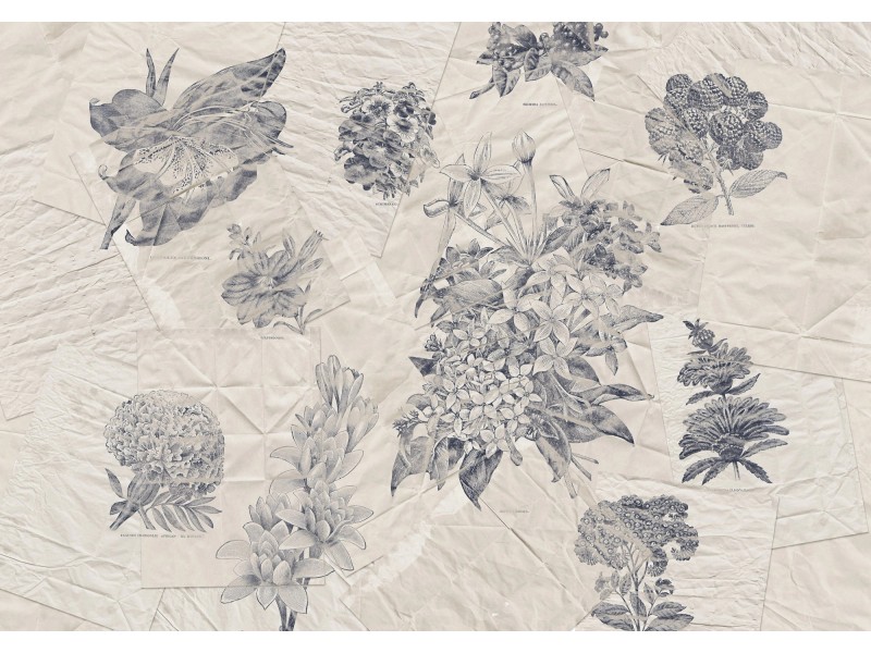 Komar nemszőtt fotótapéta Botanical Papers 400 cm x 280 cm vásárlása - OBI