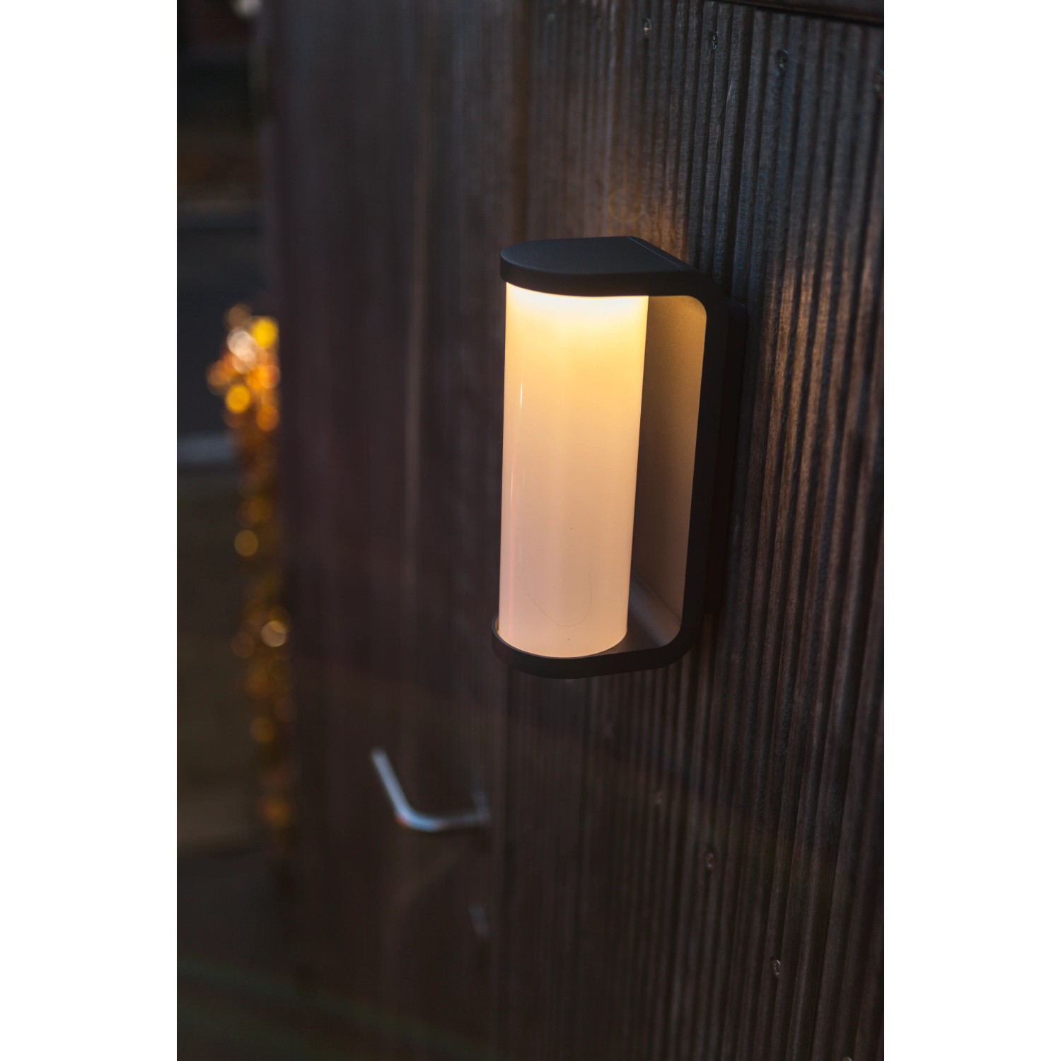 Lutec Adalyn LED-es kültéri fali lámpa