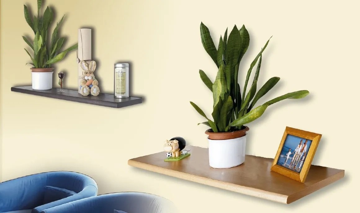 Lebegő polc sonoma tölgy 50 cm x 18 cm x 2,5 cm vásárlása az OBI -nál