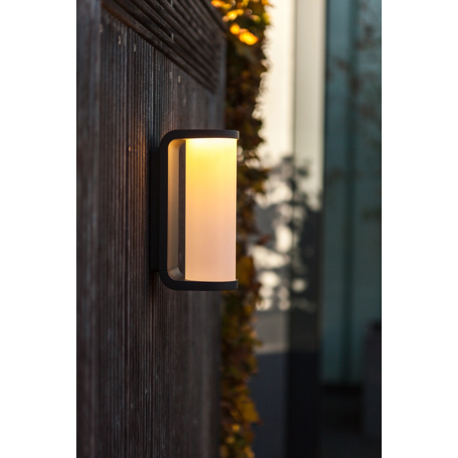 Lutec Adalyn LED-es kültéri fali lámpa