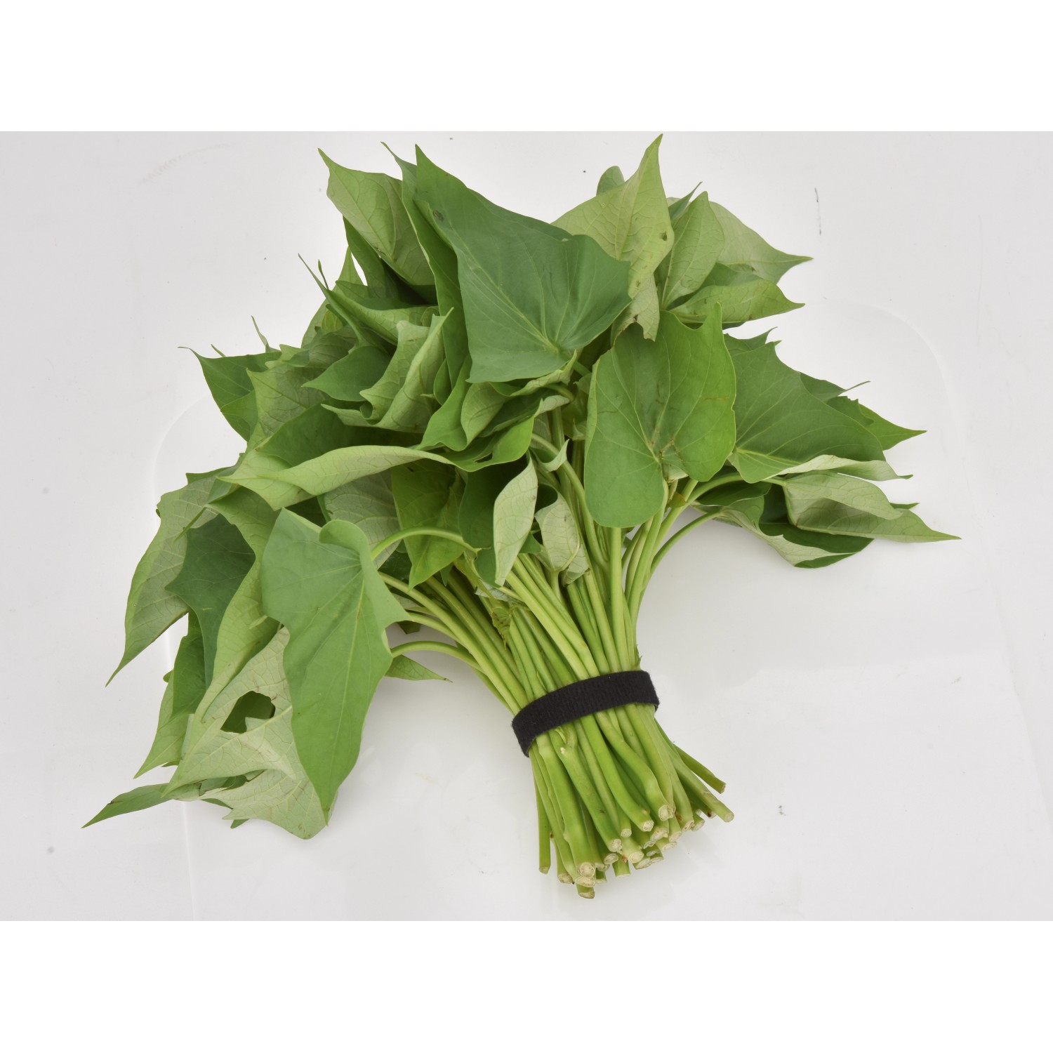 Növénykötöző 5 m vásárlása - OBI