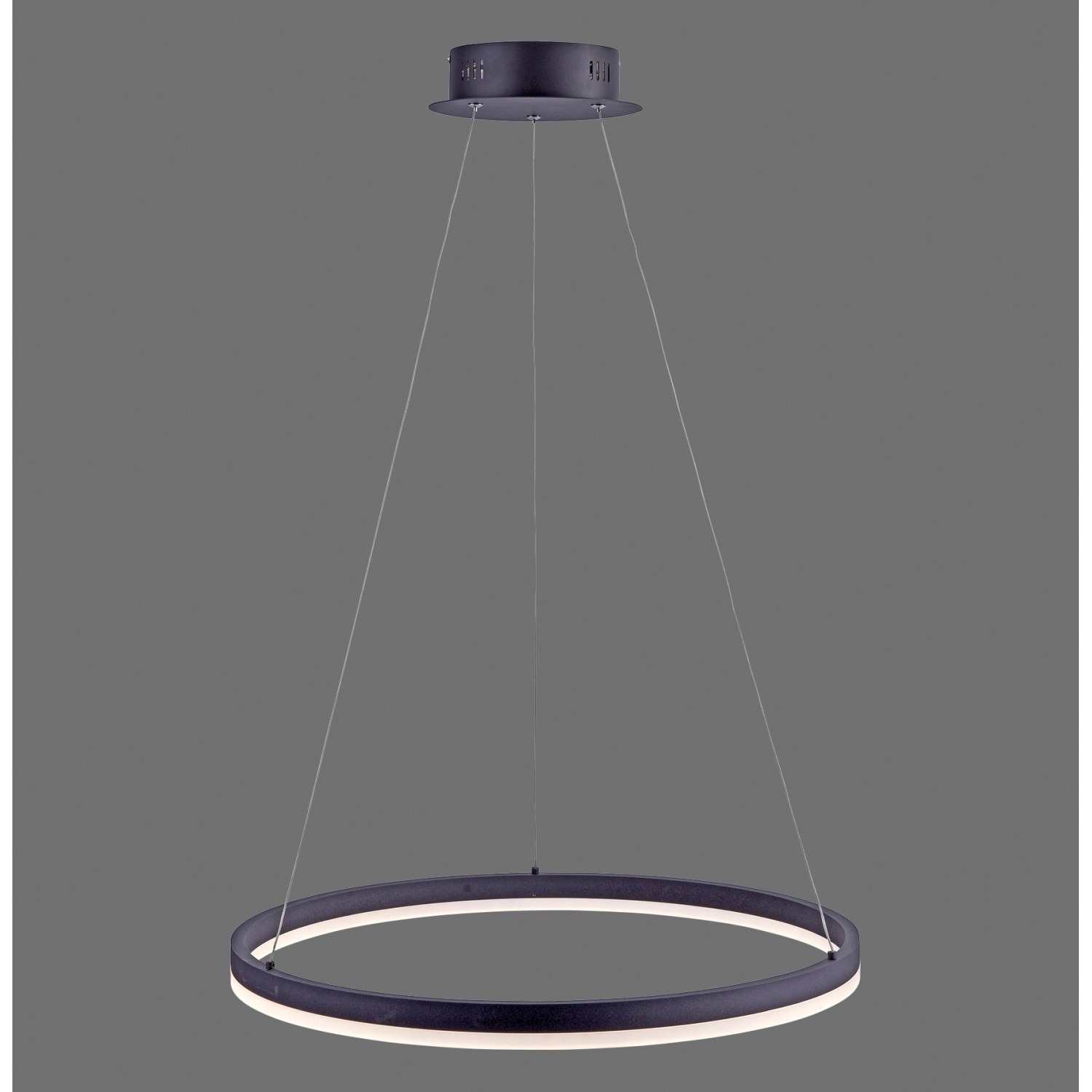 Paul Neuhaus Titus LED-es függőlámpa antracit 60 cm átmérő vásárlása az ...