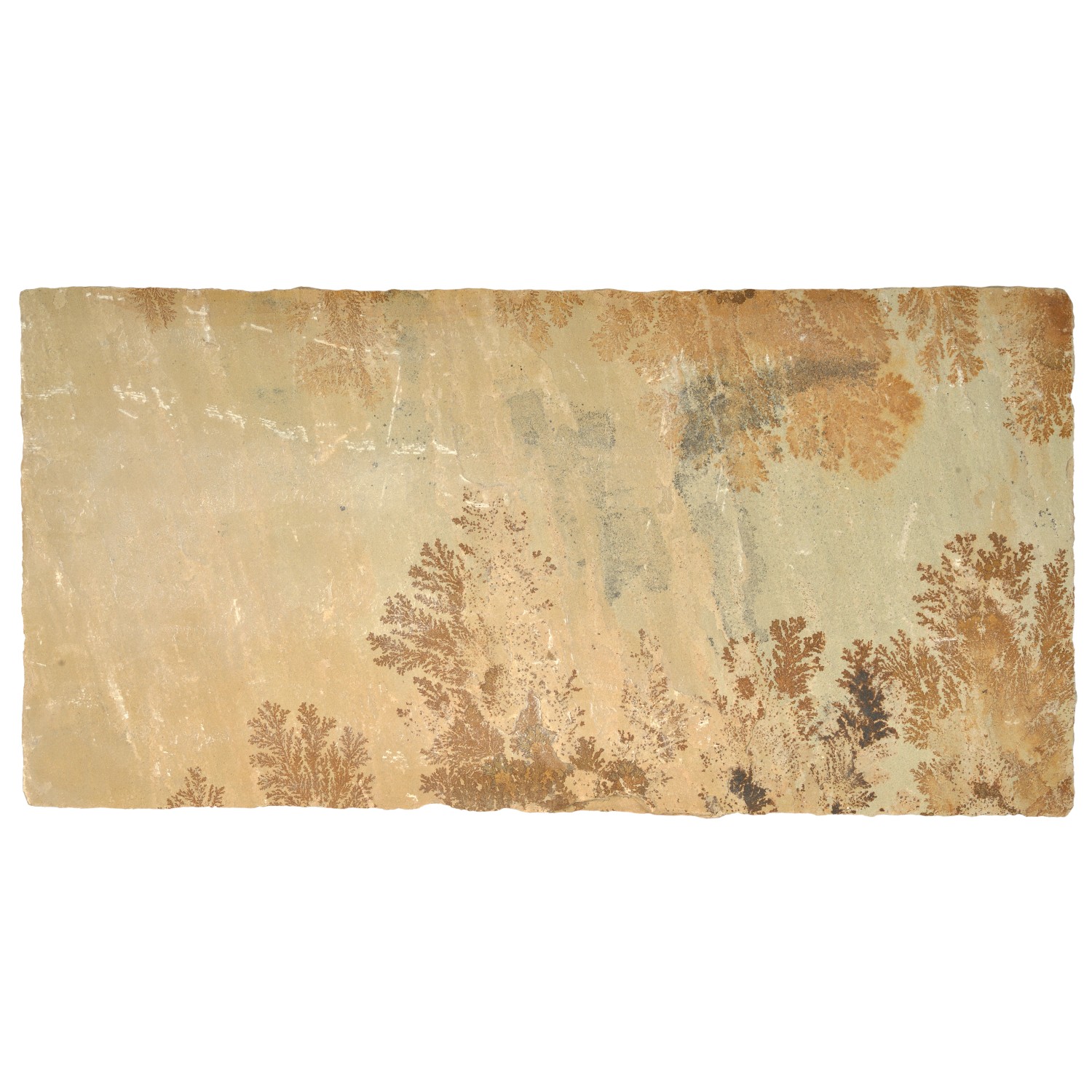 Multi-Brown homokkő lap 60 cm x 40 cm x 3 cm vásárlása az OBI -nál