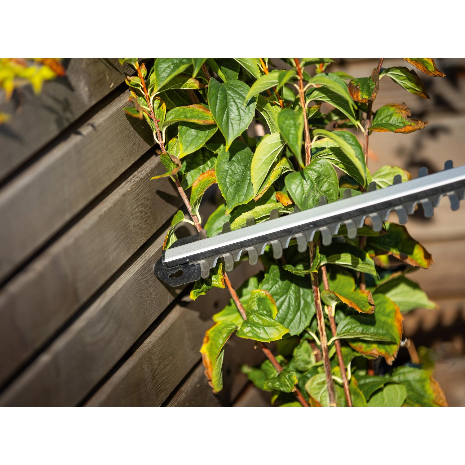 LUX-TOOLS akkus sövénynyíró A-HS-20/24 vásárlása az OBI -nál