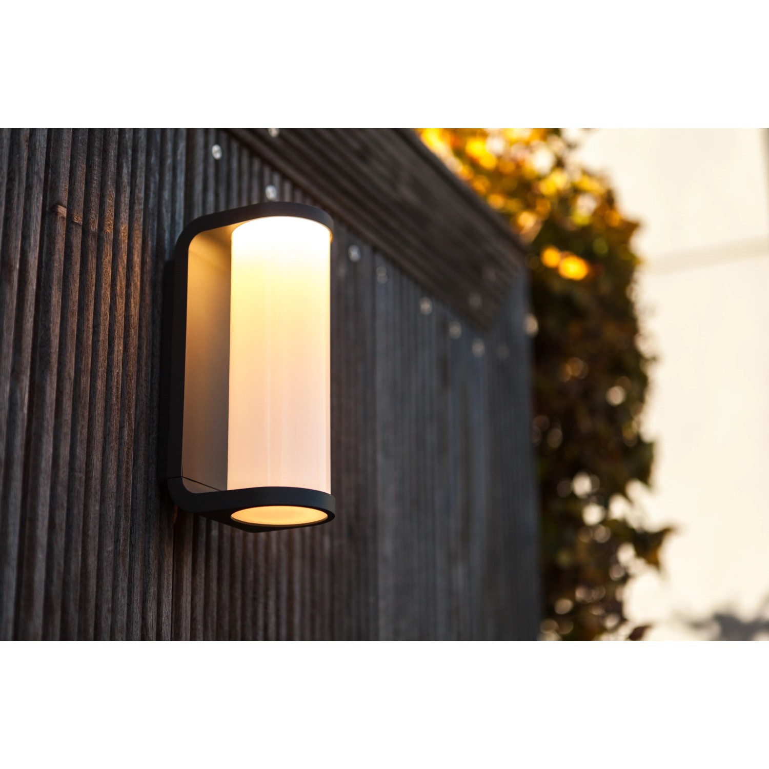 Lutec Adalyn LED-es kültéri fali lámpa