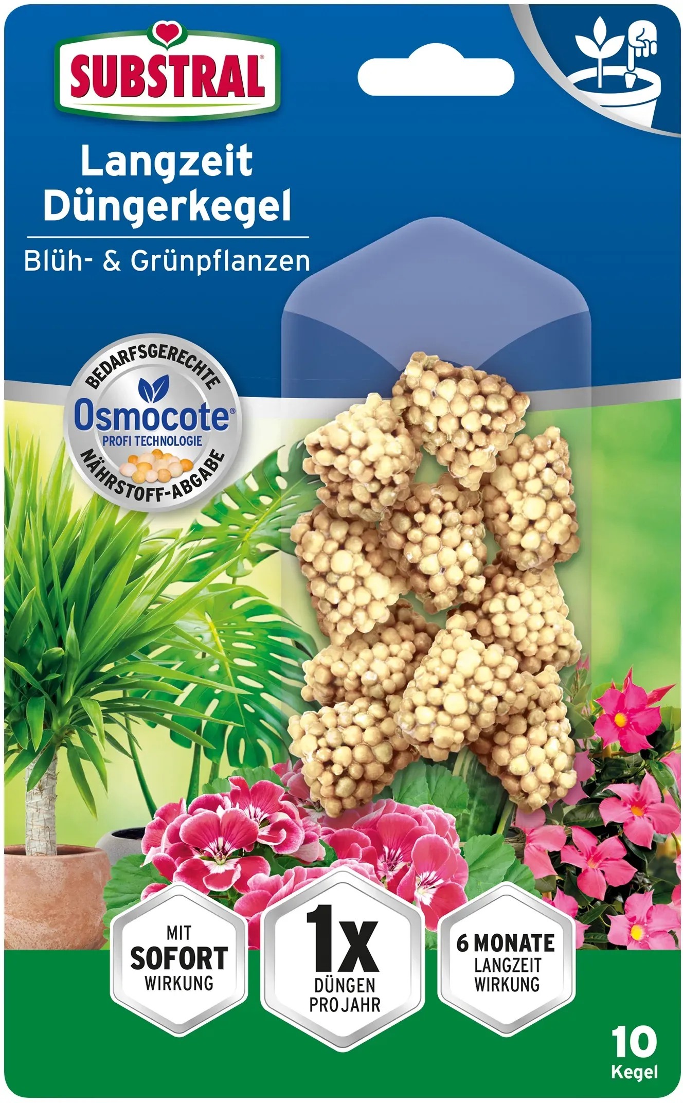 Substral Osmocote tabletta virágzó- és zöld növényekhez 10 db vásárlása ...