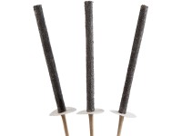 Olajfa vásárlása az OBI -nál