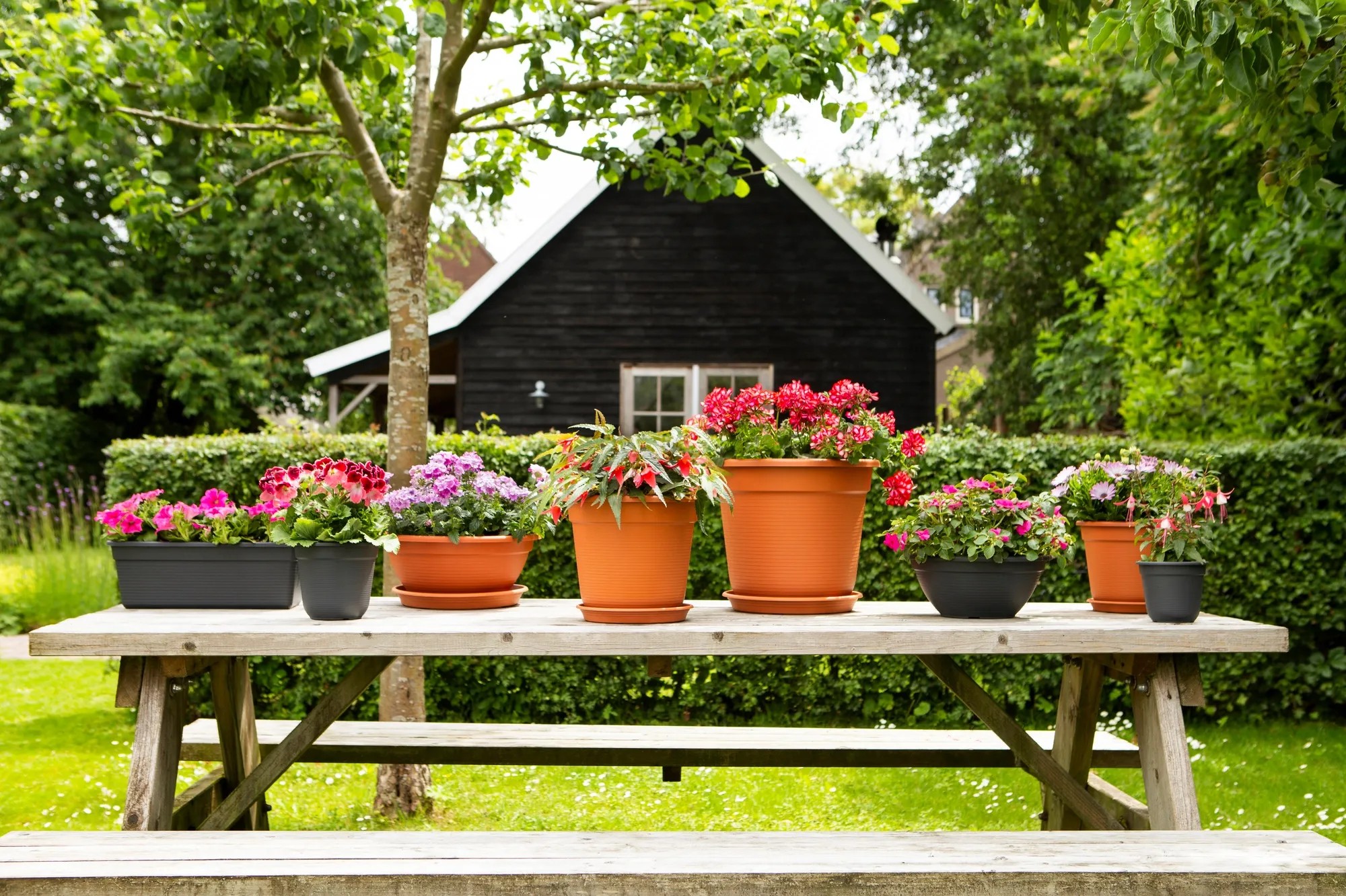 Ebertsankey Original virágcserép átmérője 24 cm barna vásárlása az OBI -nál