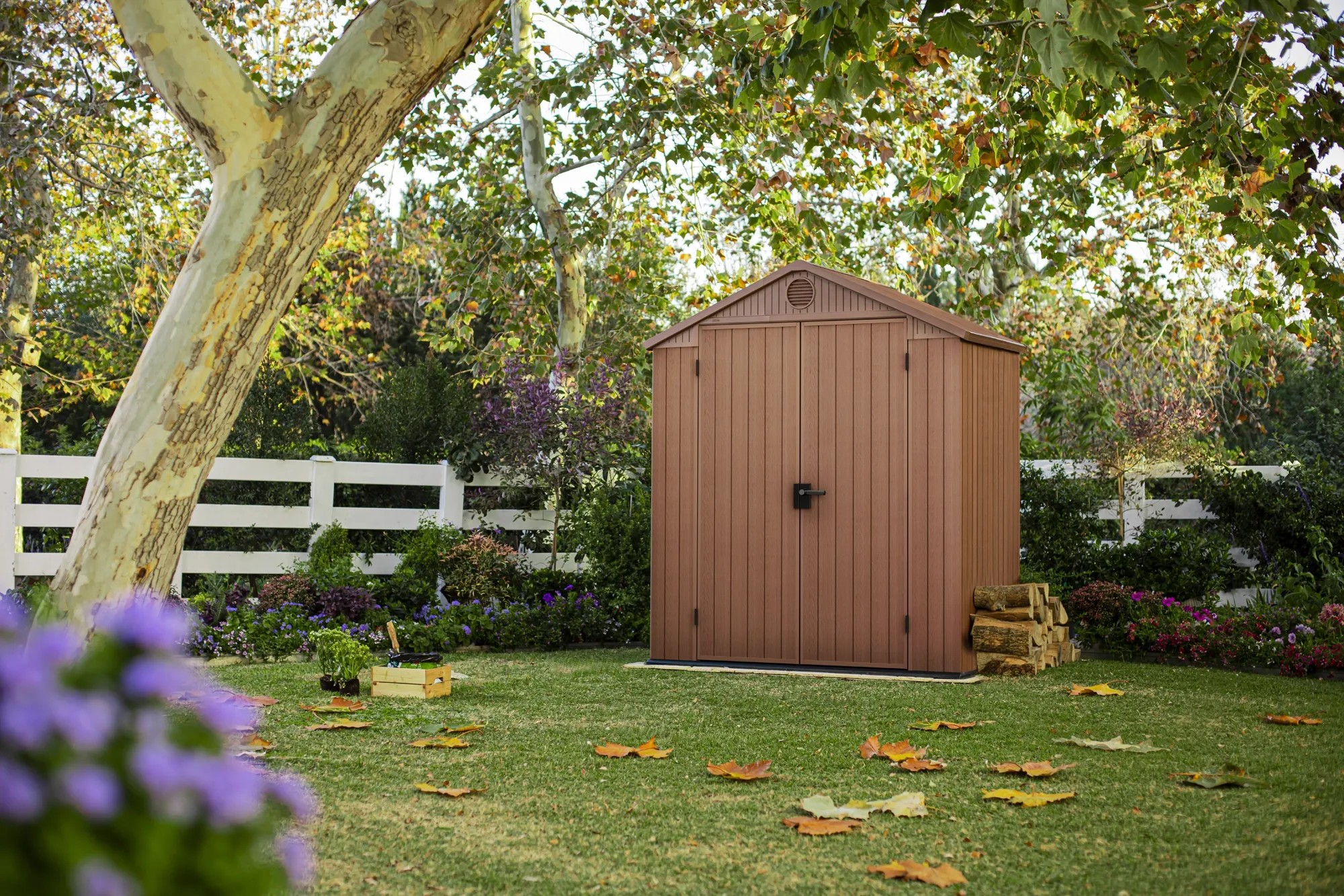 Darwin 6 x 4 Műanyag Kerti Ház vásárlása az OBI -nál