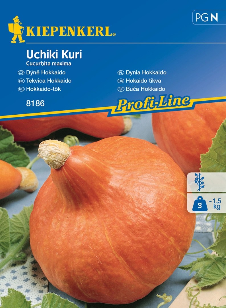 Kiepenkerl Vetőmagok Hokkaido Uchiki Kuri sütőtök vásárlása - OBI