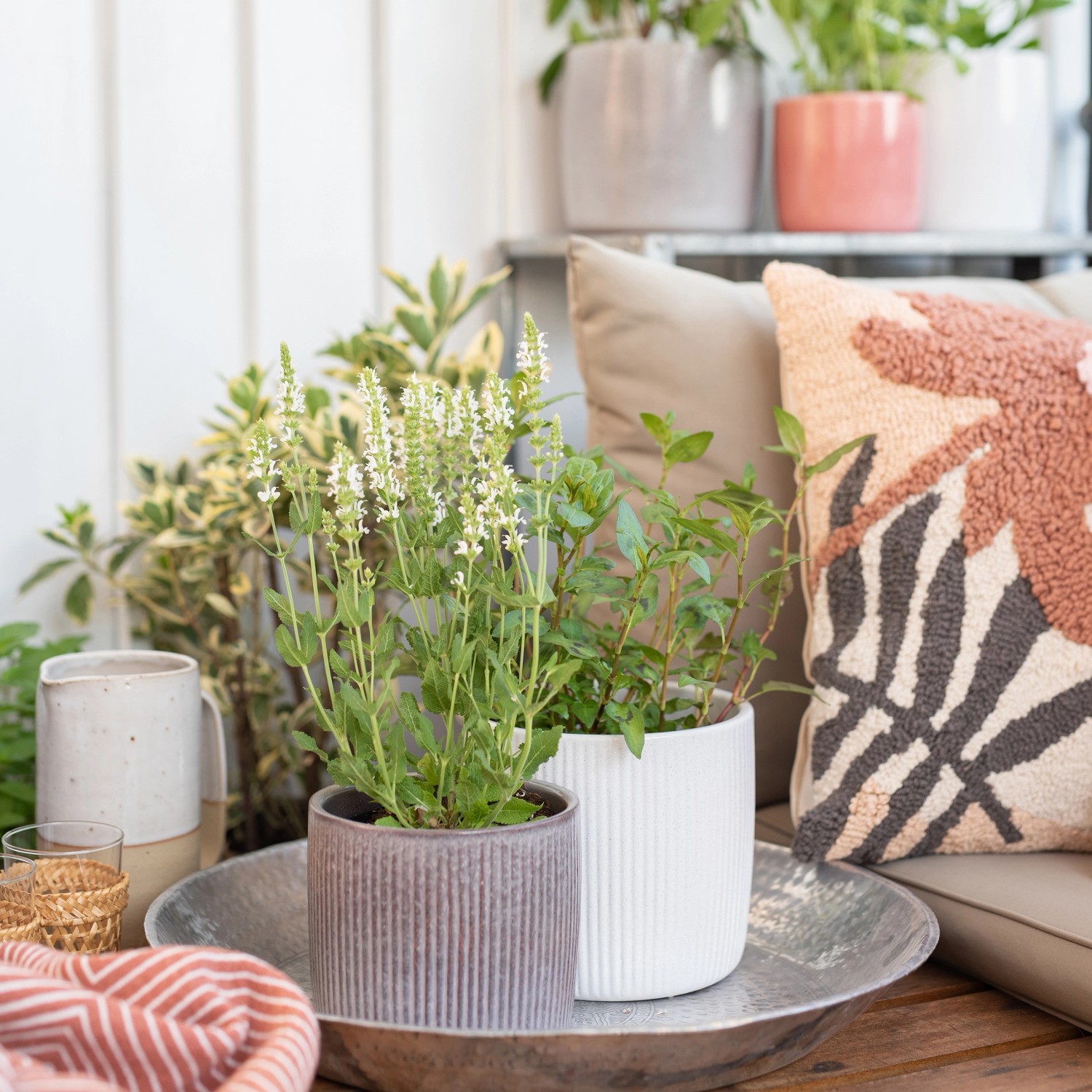 Scheurich kaspó Solido Linea 18 cm átmérő x 16 cm Perla vásárlása - OBI