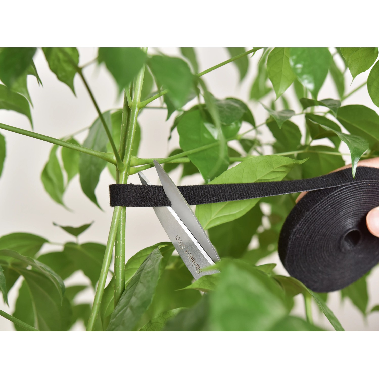 Növénykötöző 5 m vásárlása - OBI