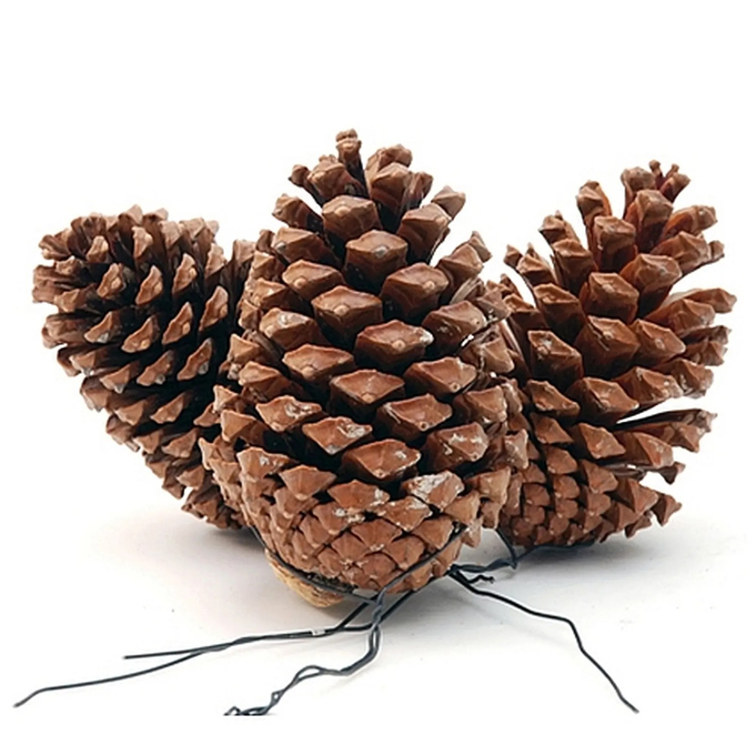 Fenyőtoboz dróton 10 cm - 14 cm Natúr vásárlása az OBI -nál