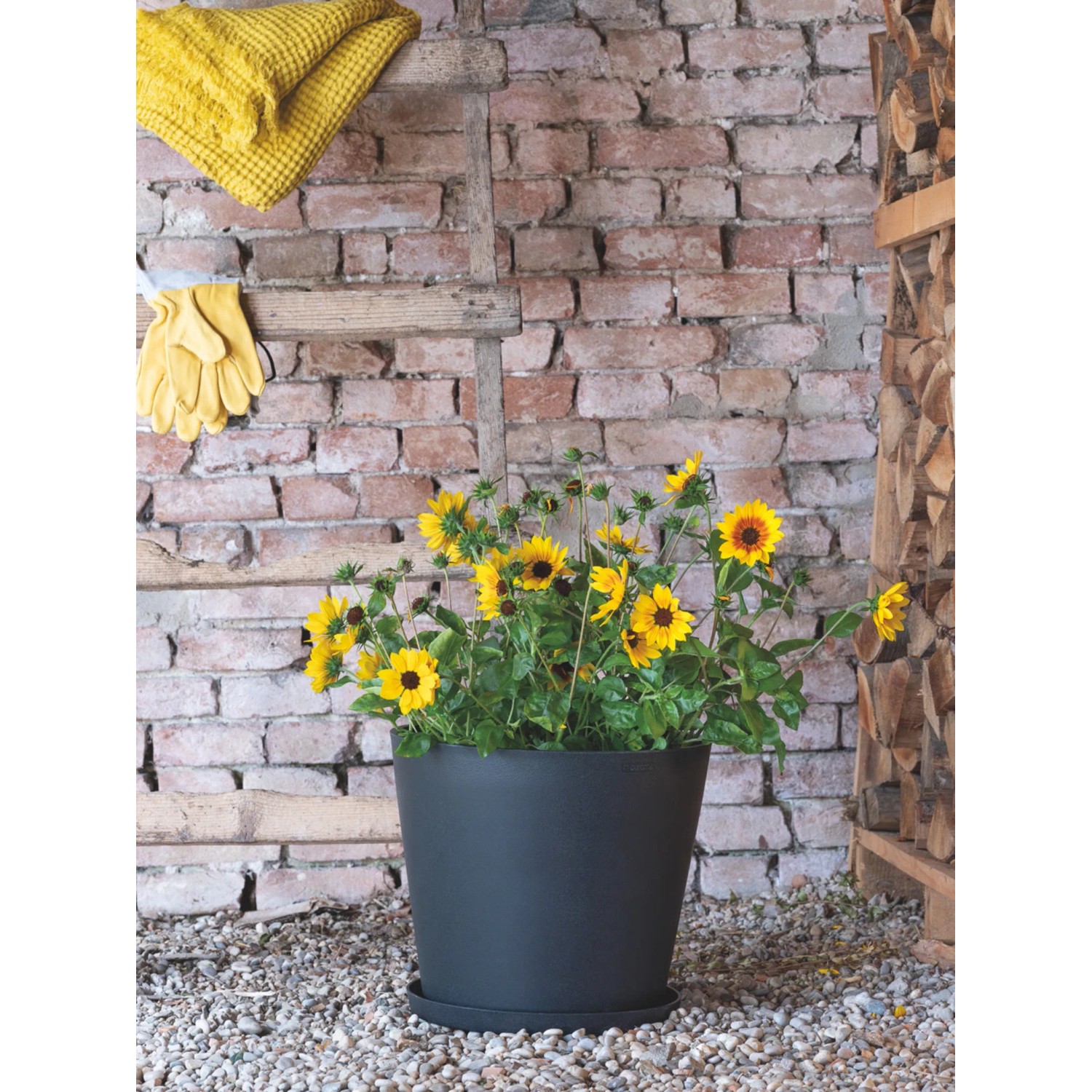 Deroma virágcserép Origin Plant Pot 20 cm antracitszürke vásárlása az ...