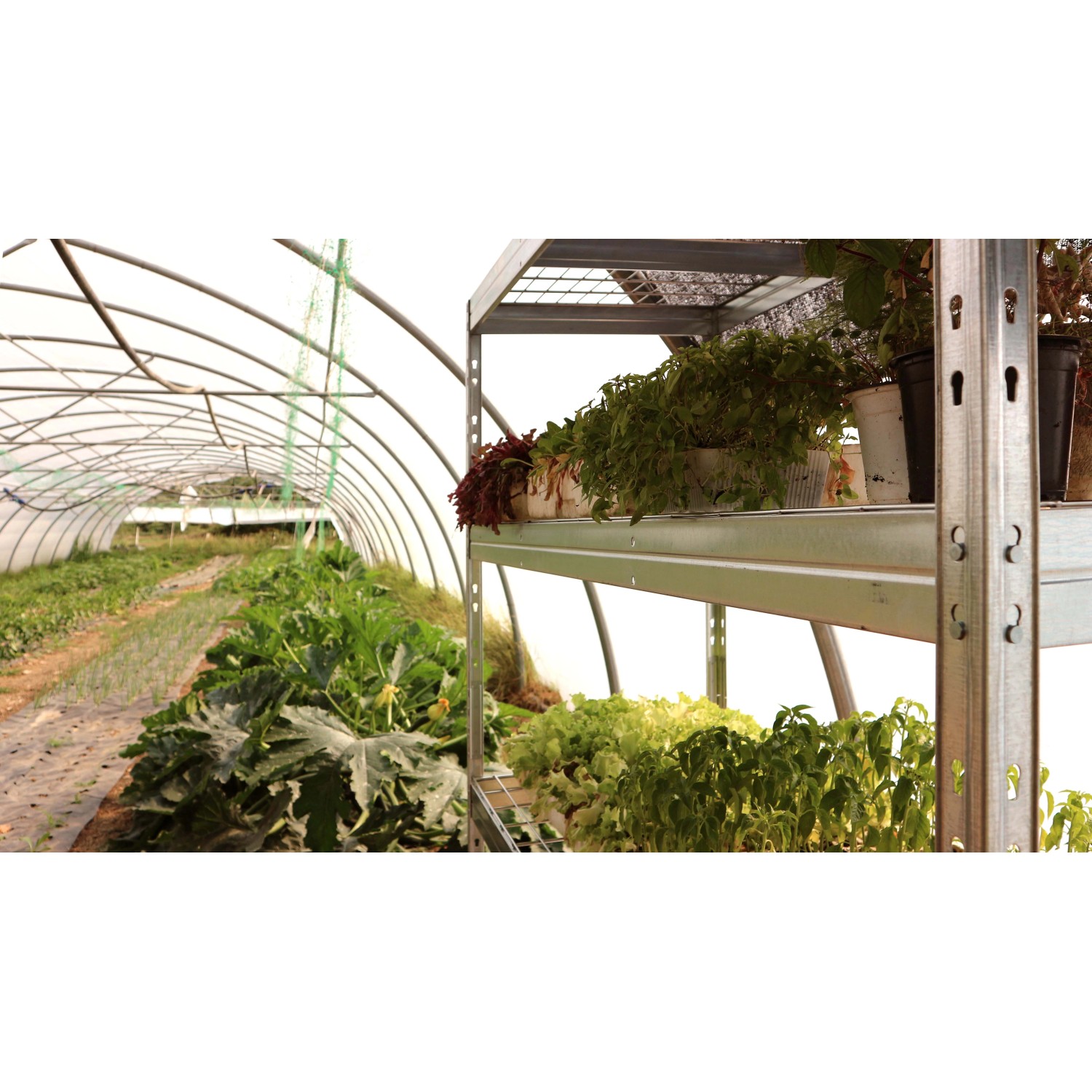 Ar Shelving Rivet Wire polcállvány acélrácsos polcok 180 cm x 90 cm x ...