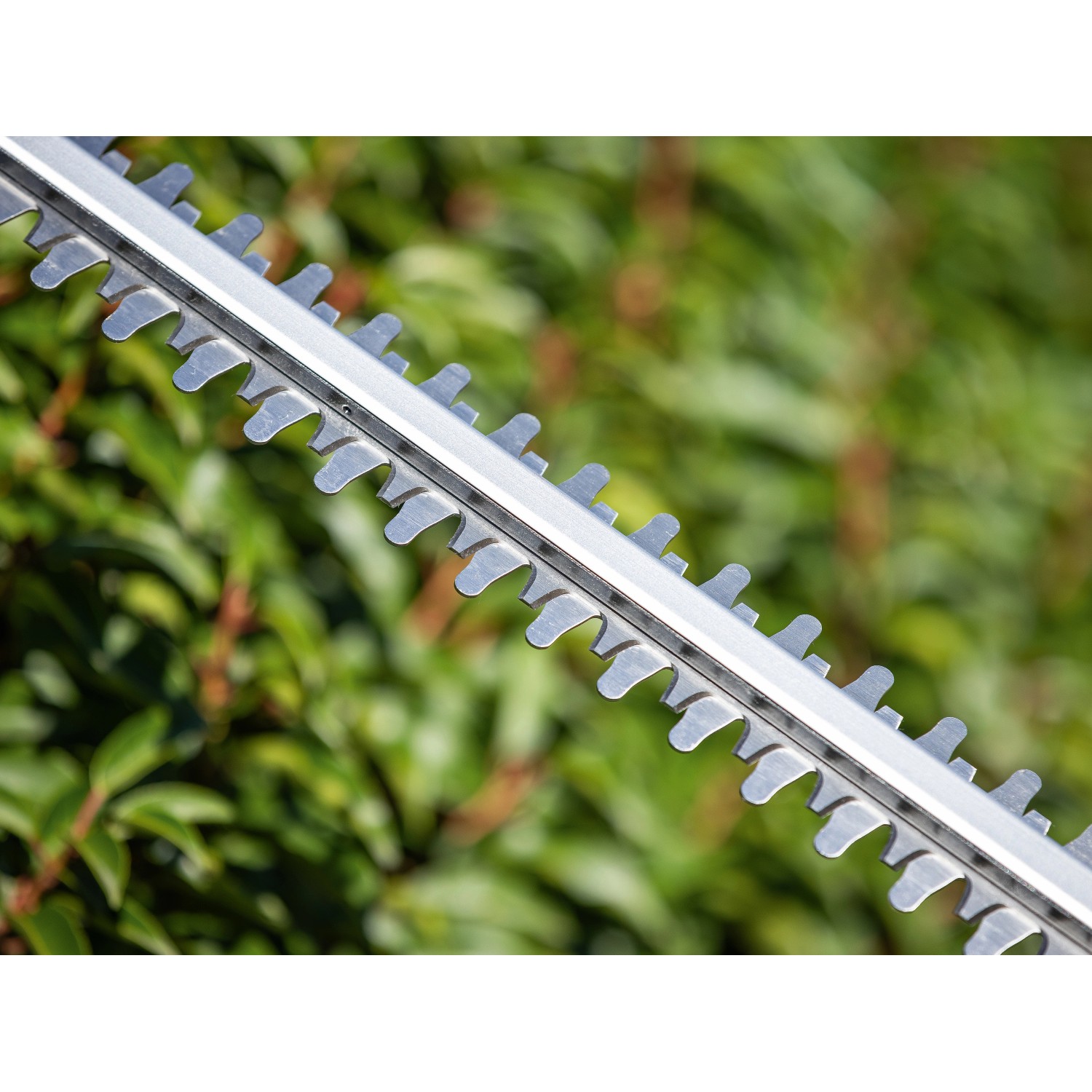 LUX-TOOLS akkus sövénynyíró A-HS-20/24 vásárlása az OBI -nál