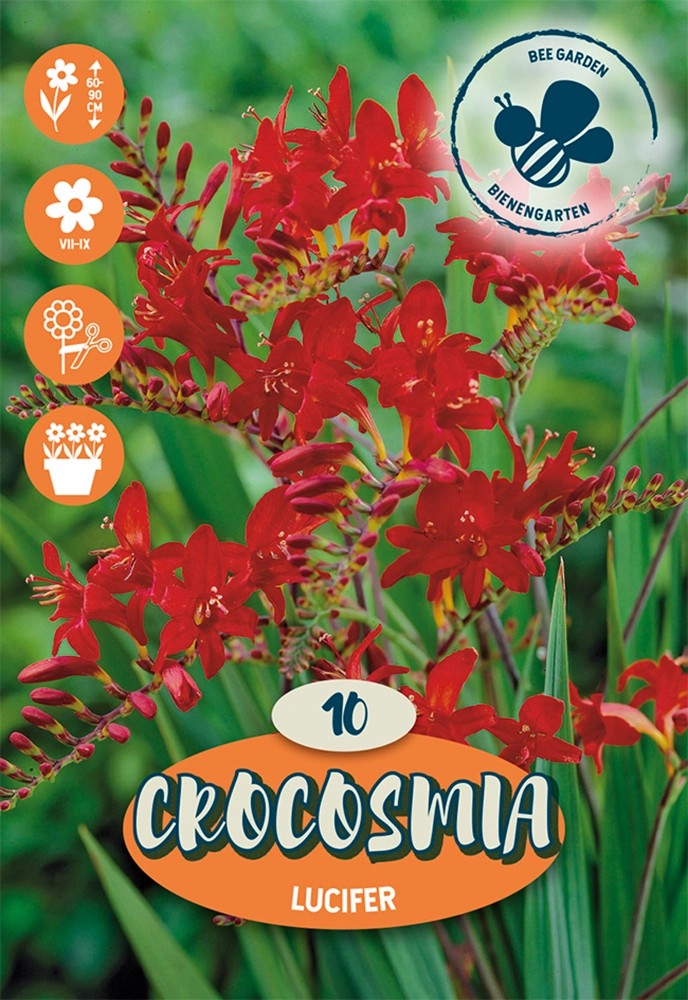 Lucifer mini írisz, piros-narancssárga vásárlása az OBI -nál