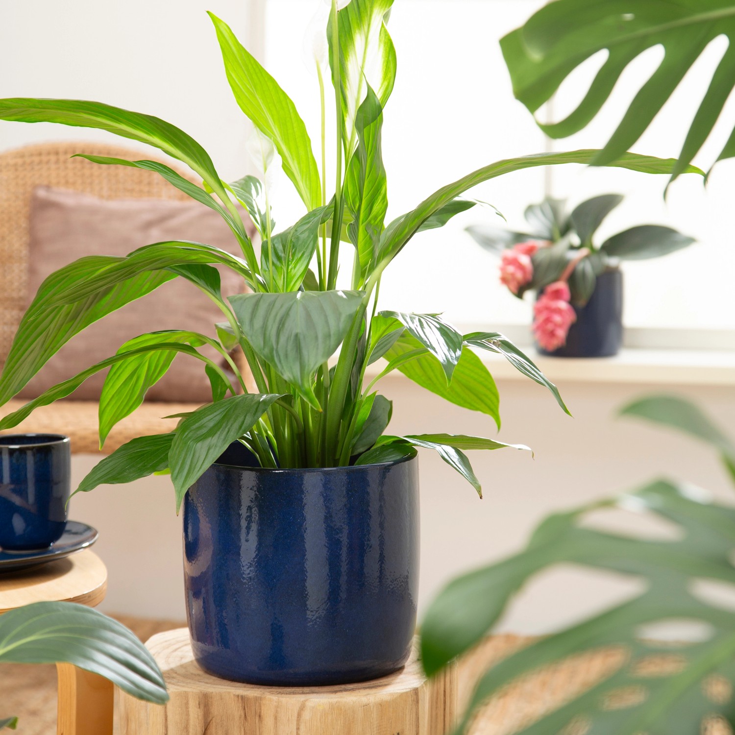 Scheurich kaspó 900 Solido 13 cm átmérő x 11,7 cm Mystic Blau vásárlása az OBI -nál